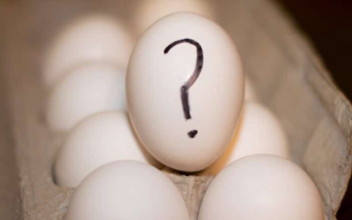 The great egg debate, helpful or harmful to our health? | Umami