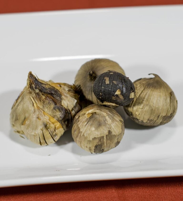 Everything You Need to Know About Umami | Umami