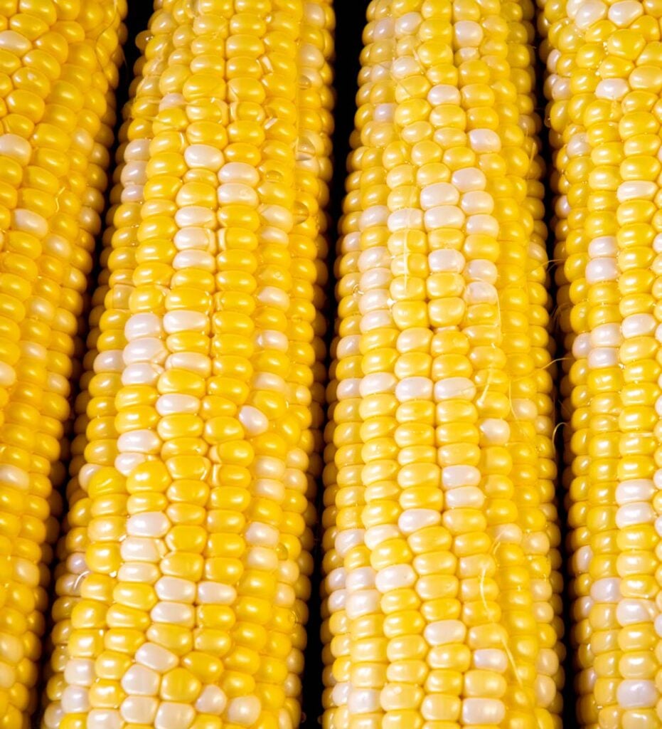 A Better Way to Grill Corn on the Cob | Umami
