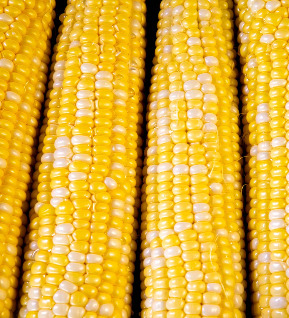 A Better Way to Grill Corn on the Cob | Umami
