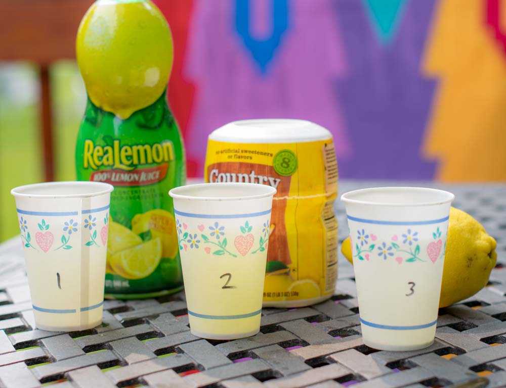 Homemade Fresh Squeezed Lemonade | Umami