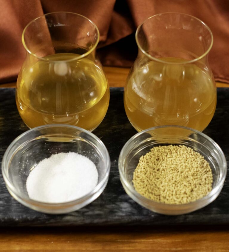 Understanding Umami Flavor With a Simple Taste Test | Umami